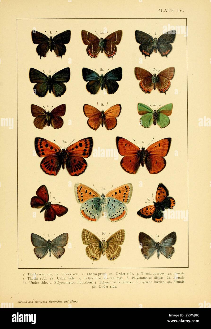 Descriptive text indicating hi-res stock photography and images - Alamy