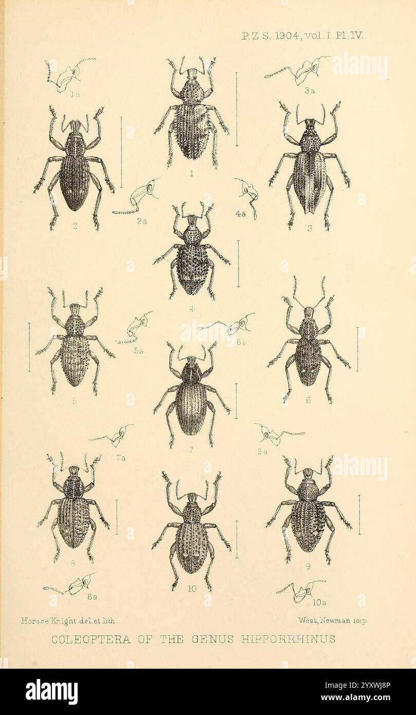 Proceedings of the Zoological Society of London, London, Academic Press ...