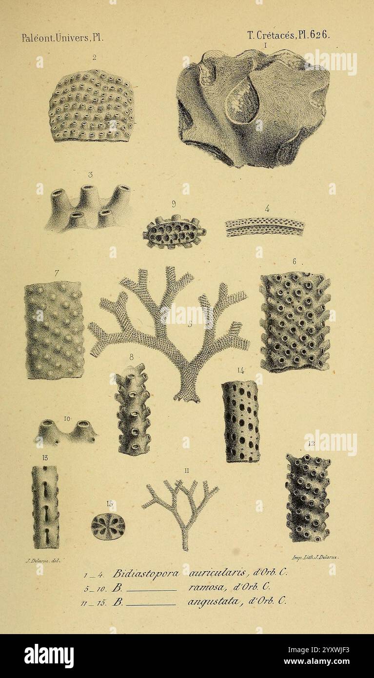 Alphanumeric designations hi-res stock photography and images - Alamy