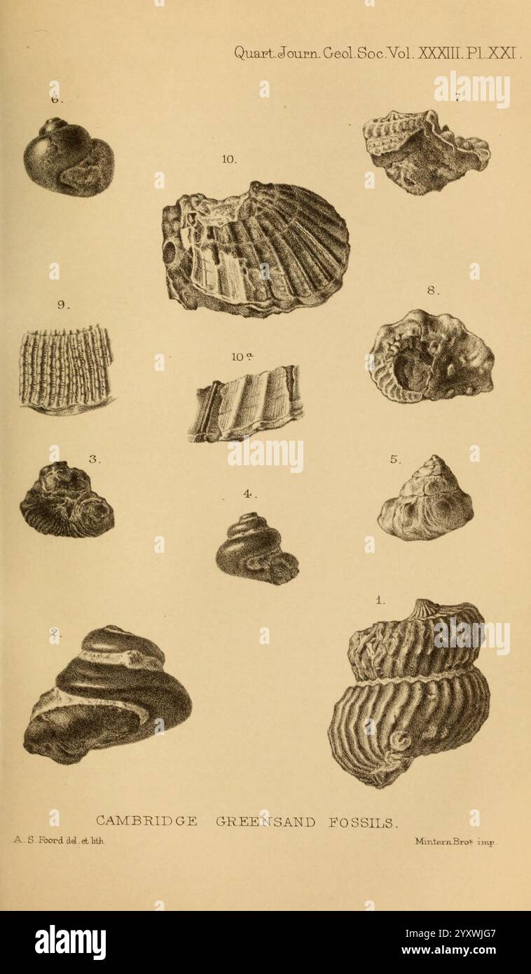 Cambridge greensand formation hi-res stock photography and images - Alamy