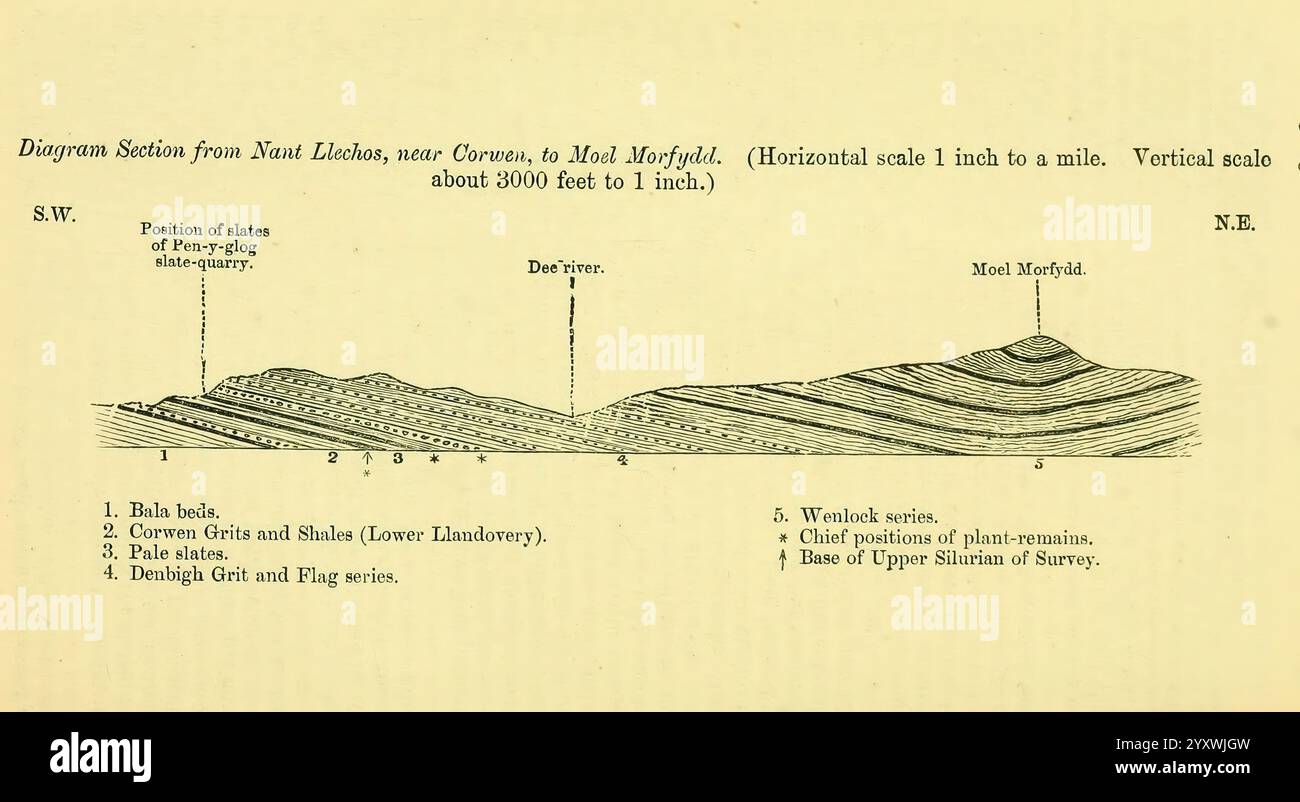 Diorama showcases hi-res stock photography and images - Alamy