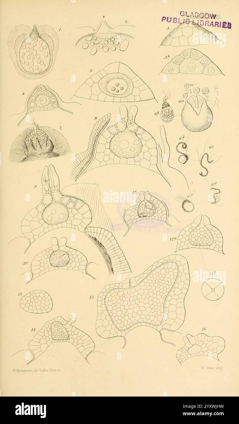 Serves as a comprehensive r hi-res stock photography and images - Alamy