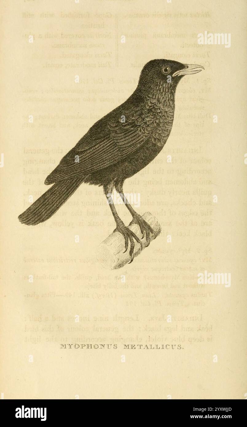 Presented beneath hi-res stock photography and images - Alamy