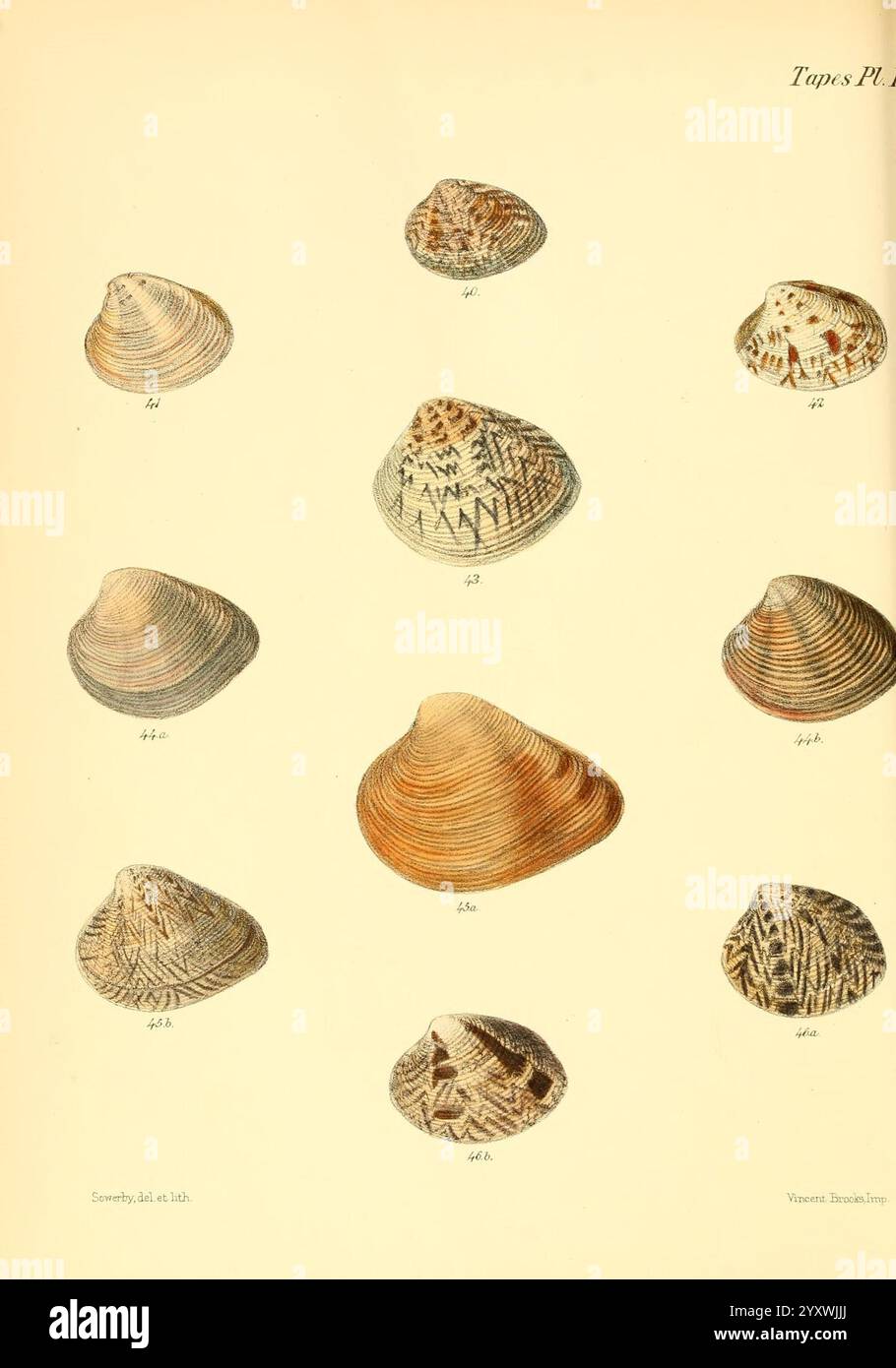 Exhibit diverse textures hi-res stock photography and images - Alamy