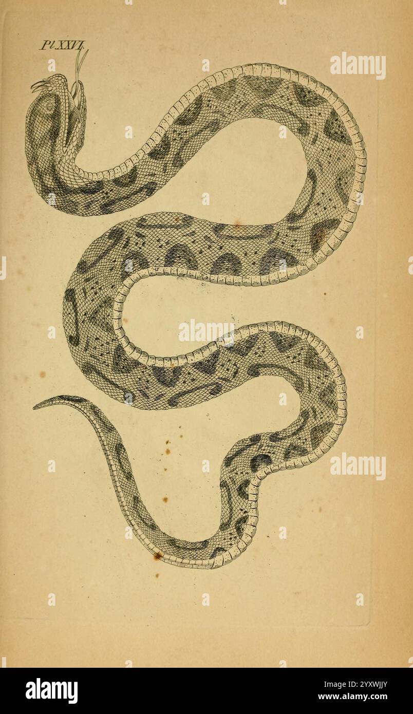 Shading accentuates hi-res stock photography and images - Alamy