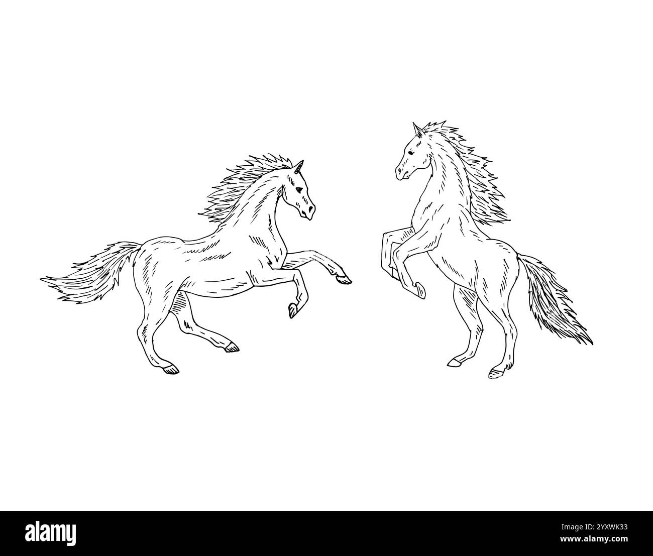 Vector two hand drawn doodle sketch horses set isolated on white ...