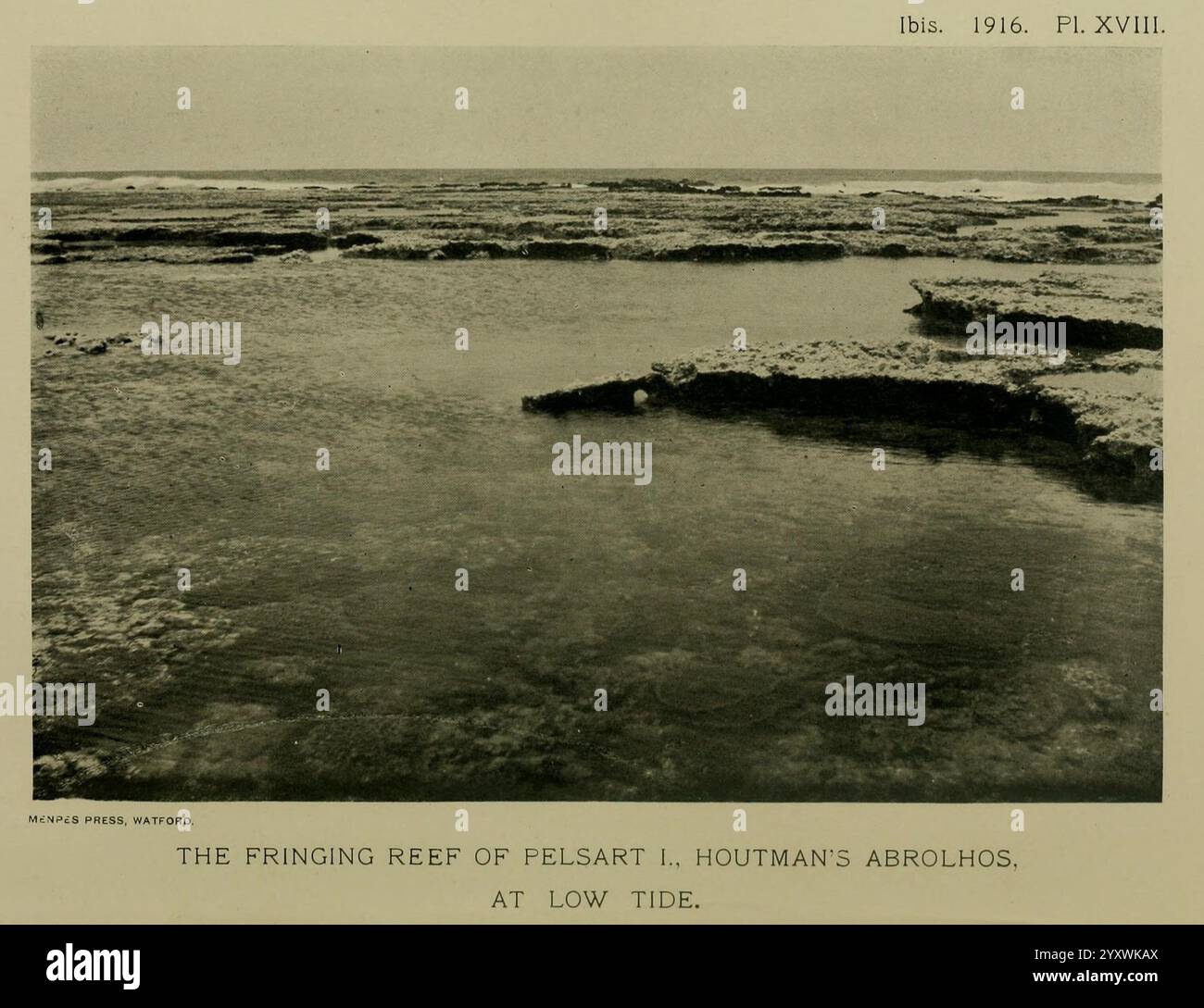 Lower tidal levels hi-res stock photography and images - Alamy