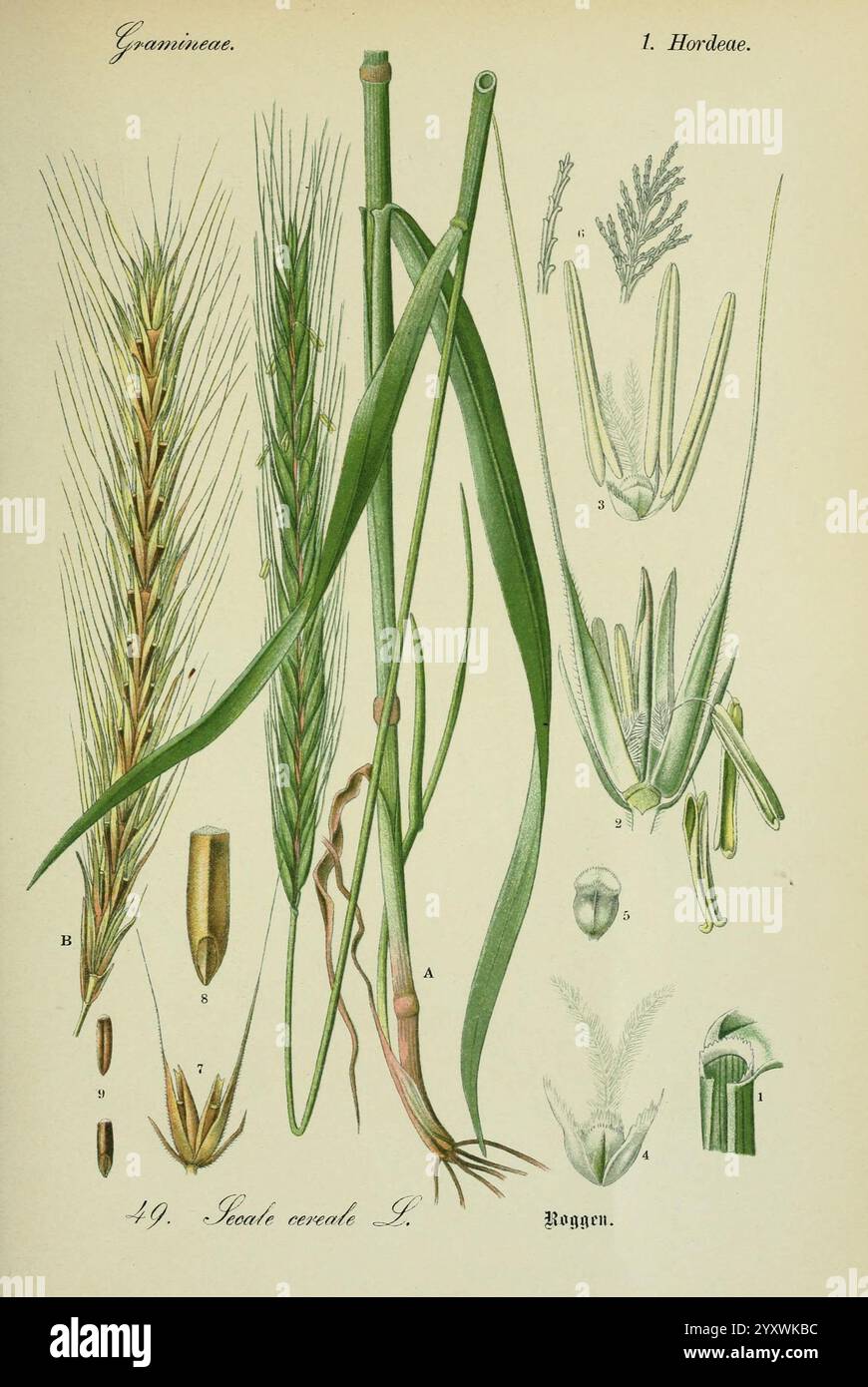 Attached annotations hi-res stock photography and images - Alamy