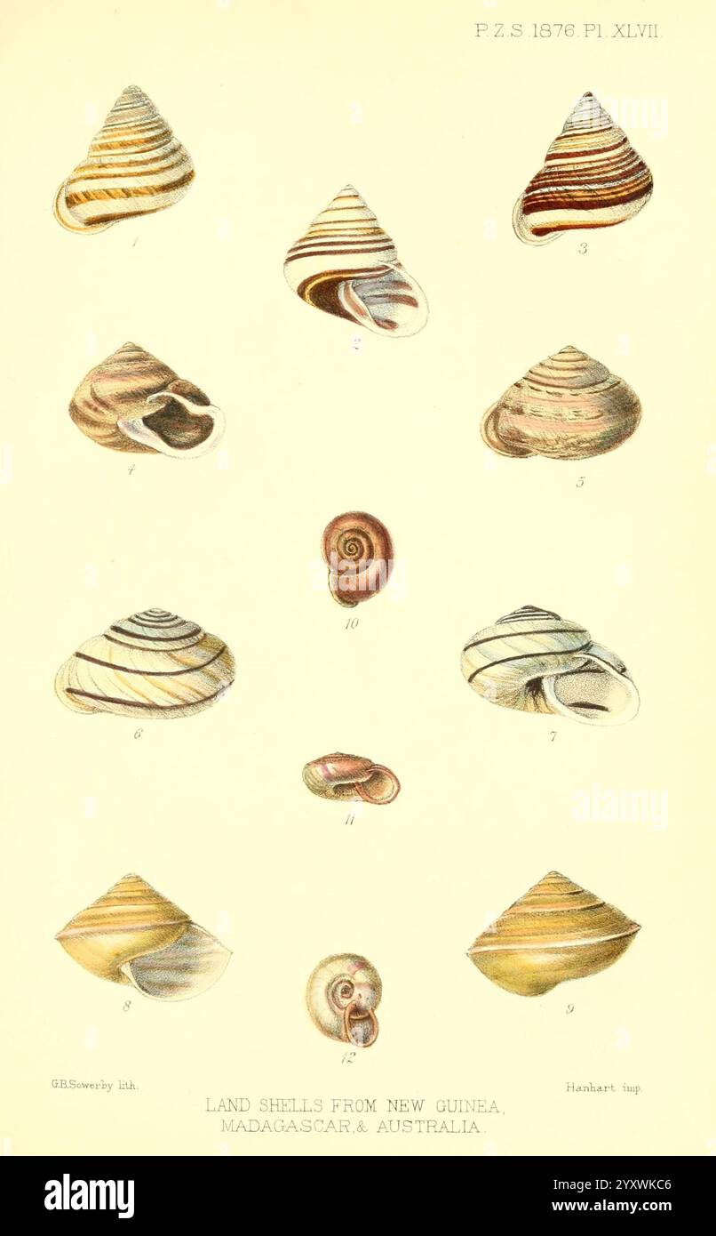 Proceedings of the Zoological Society of London, London, Academic Press ...