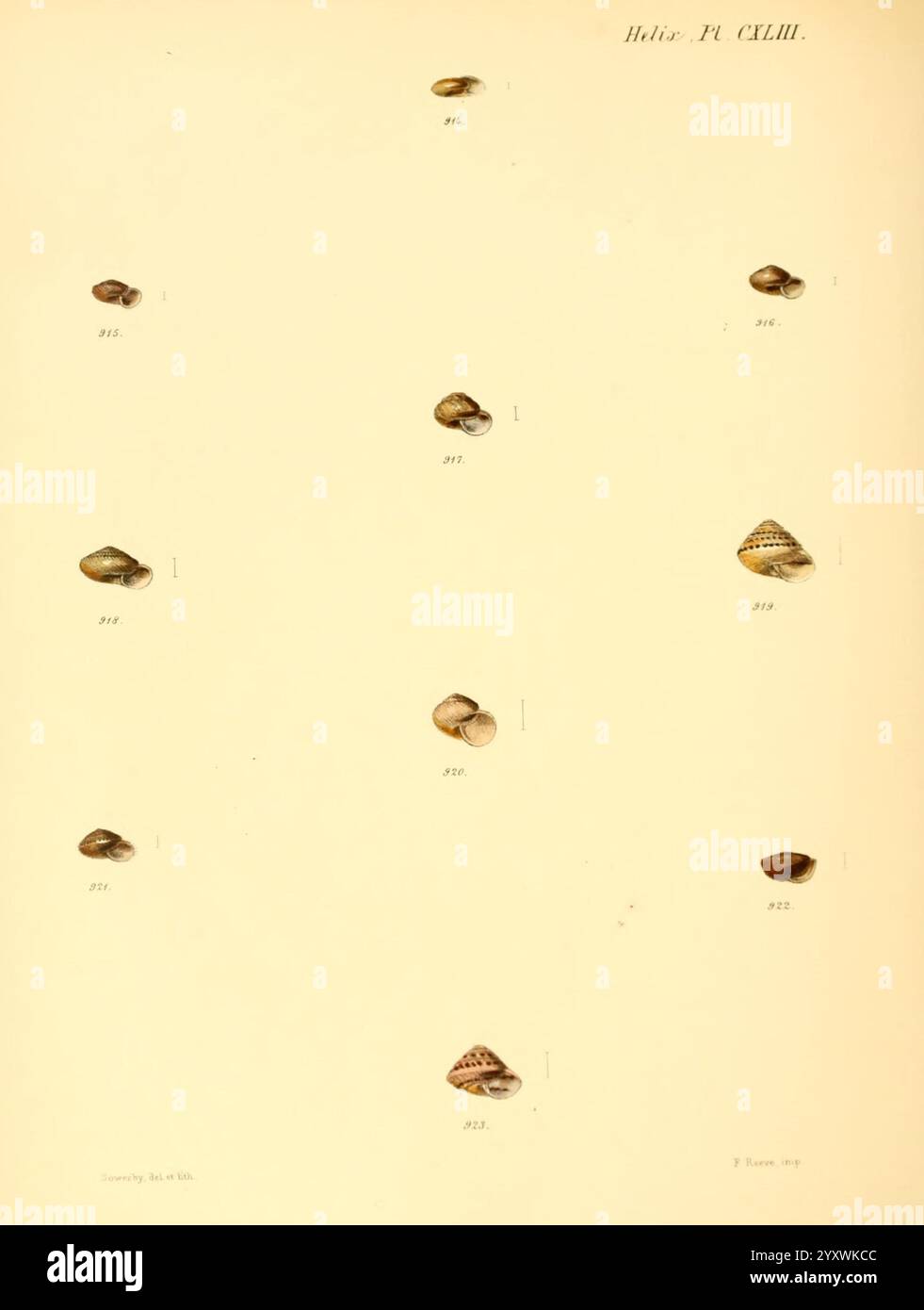 Feature distinctive ridges hi-res stock photography and images - Alamy