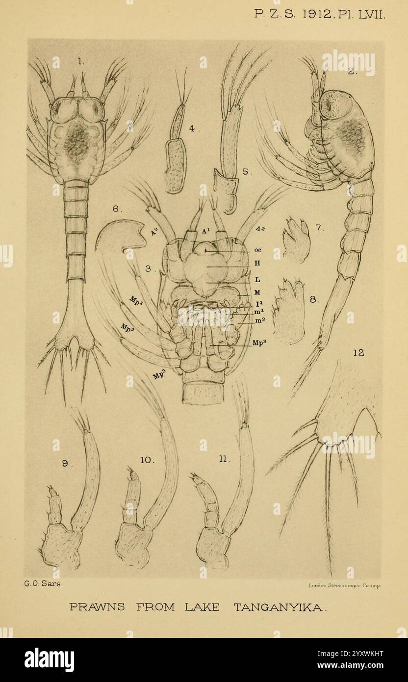 Proceedings of the Zoological Society of London, London, Academic Press ...