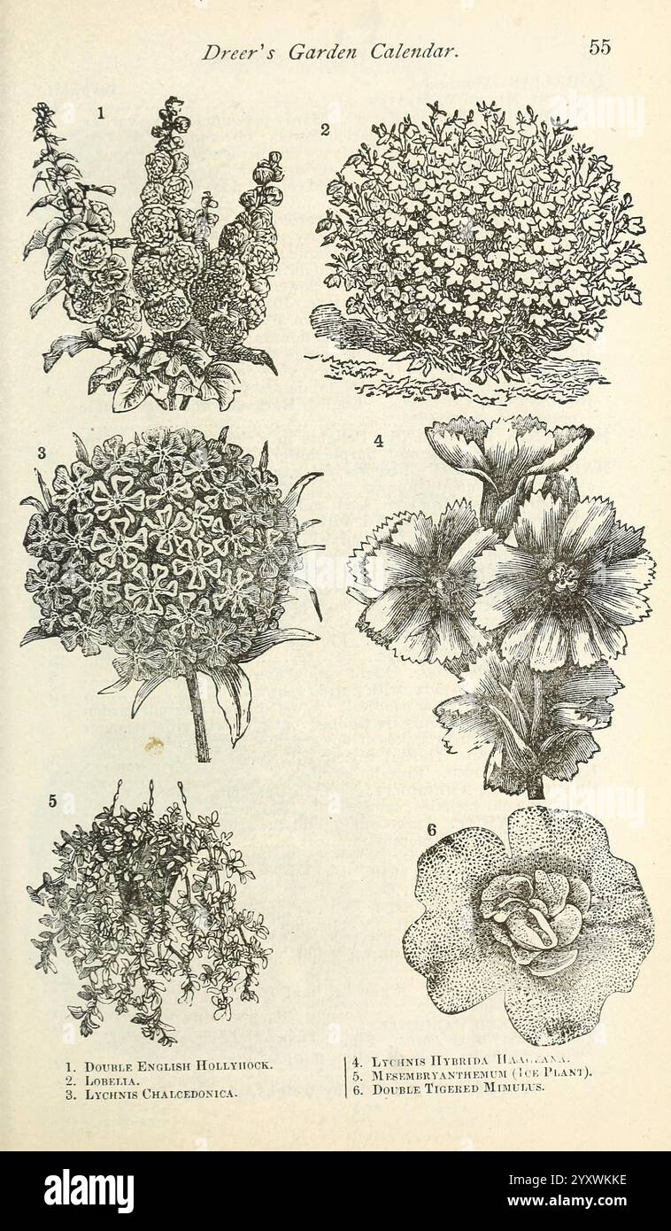 Final image features rich hi-res stock photography and images - Alamy