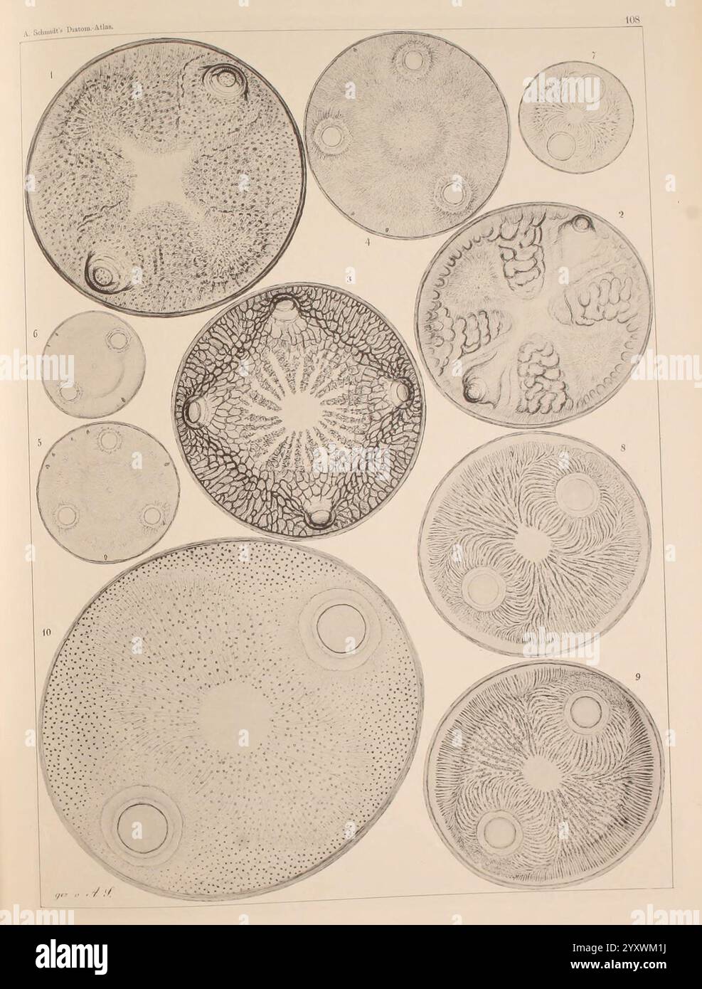 Careful arrangement hints hi-res stock photography and images - Alamy