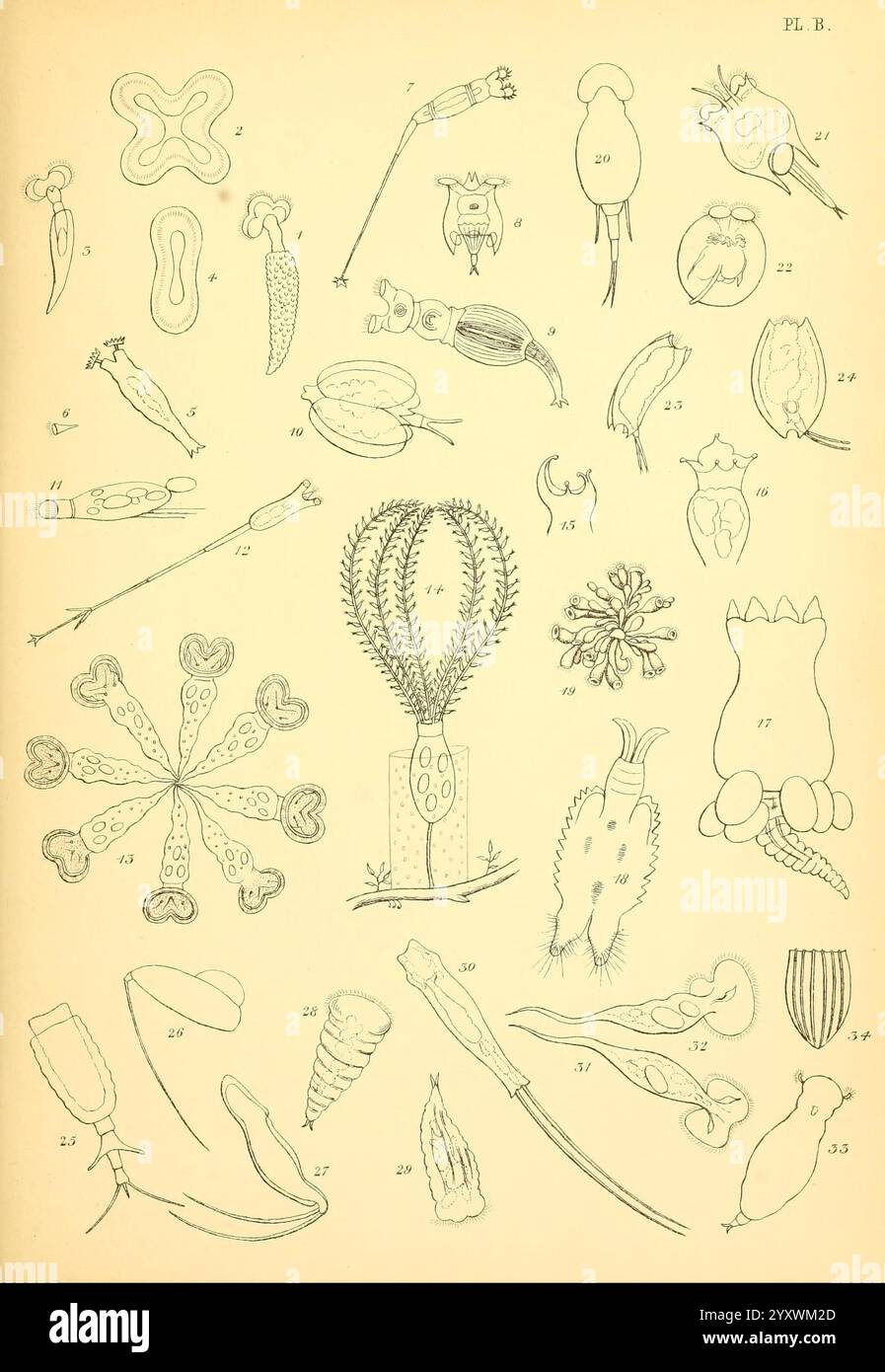 Curated catalog hi-res stock photography and images - Alamy