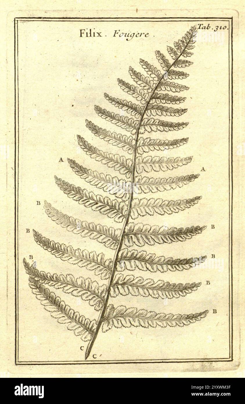 Leaflet exhibits hi-res stock photography and images - Alamy