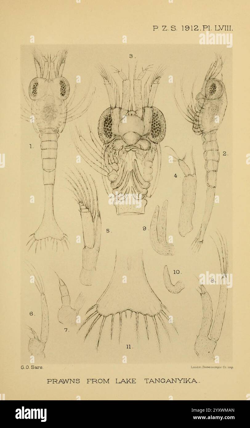 Includes labeled diagrams highlighting hi-res stock photography and ...