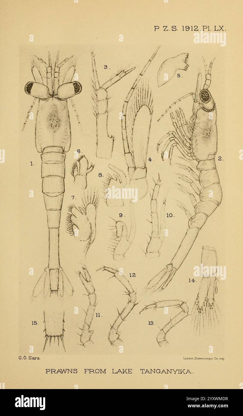 Proceedings of the Zoological Society of London, London, Academic Press ...
