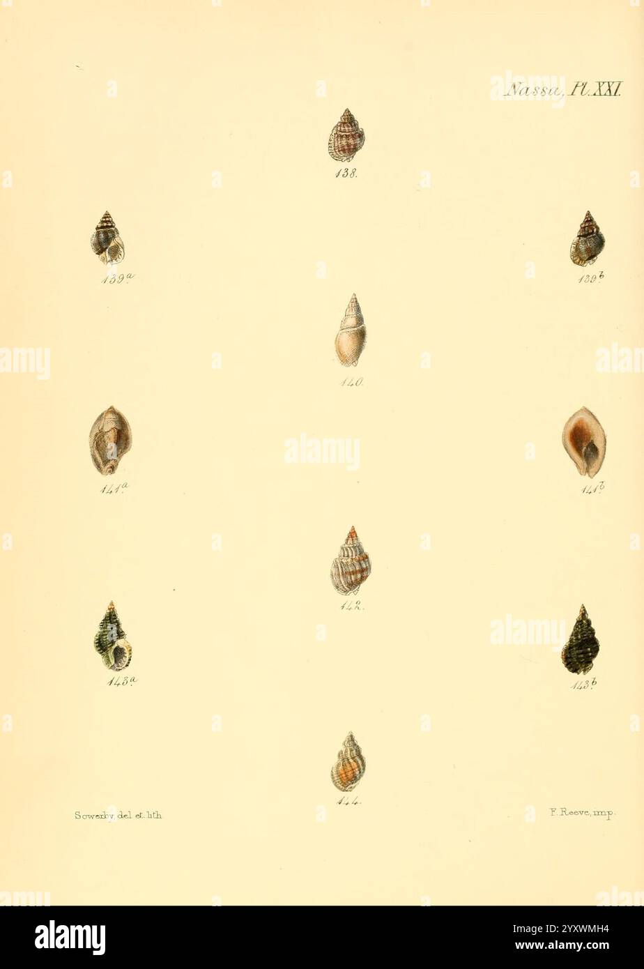 Number correlating hi-res stock photography and images - Alamy