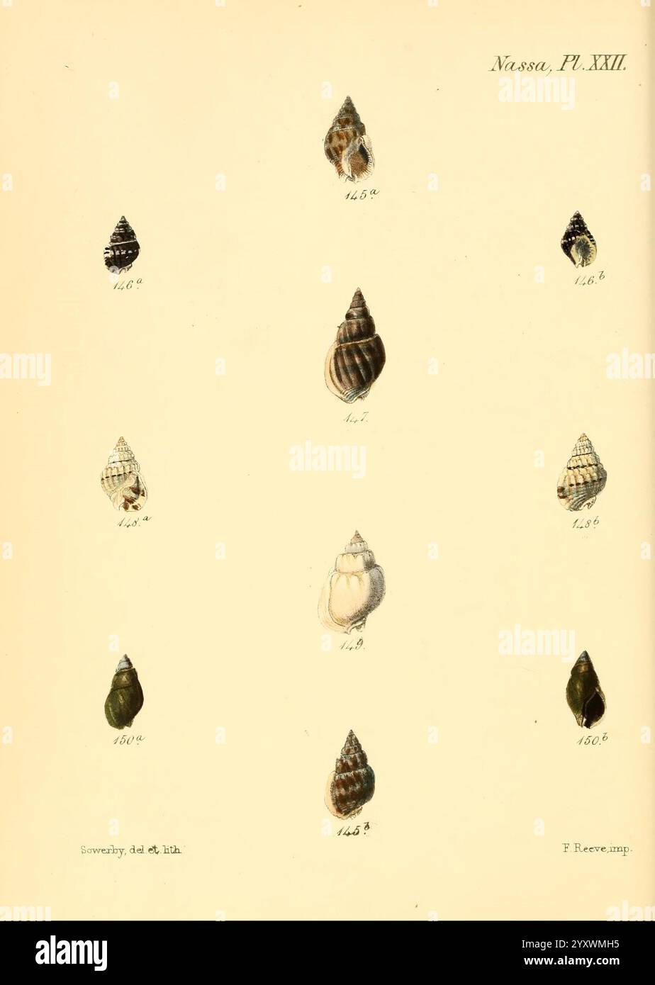 Scientific significance within hi-res stock photography and images - Alamy