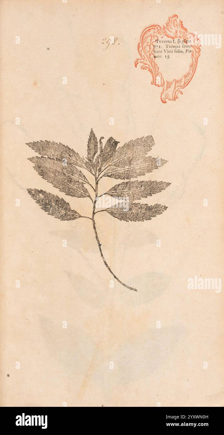 Flora cataloging hi-res stock photography and images - Alamy