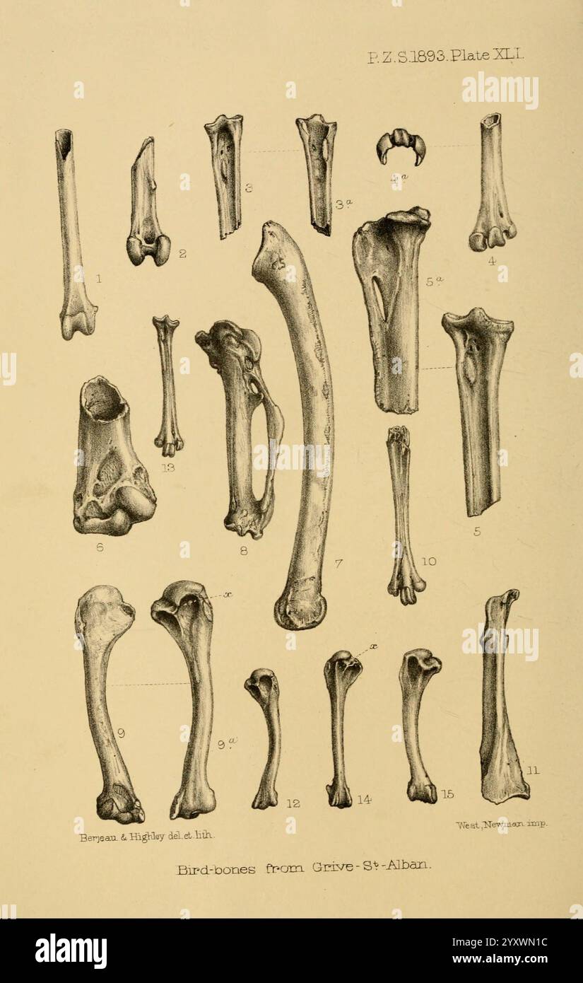 Specific identification numbers hi-res stock photography and images - Alamy