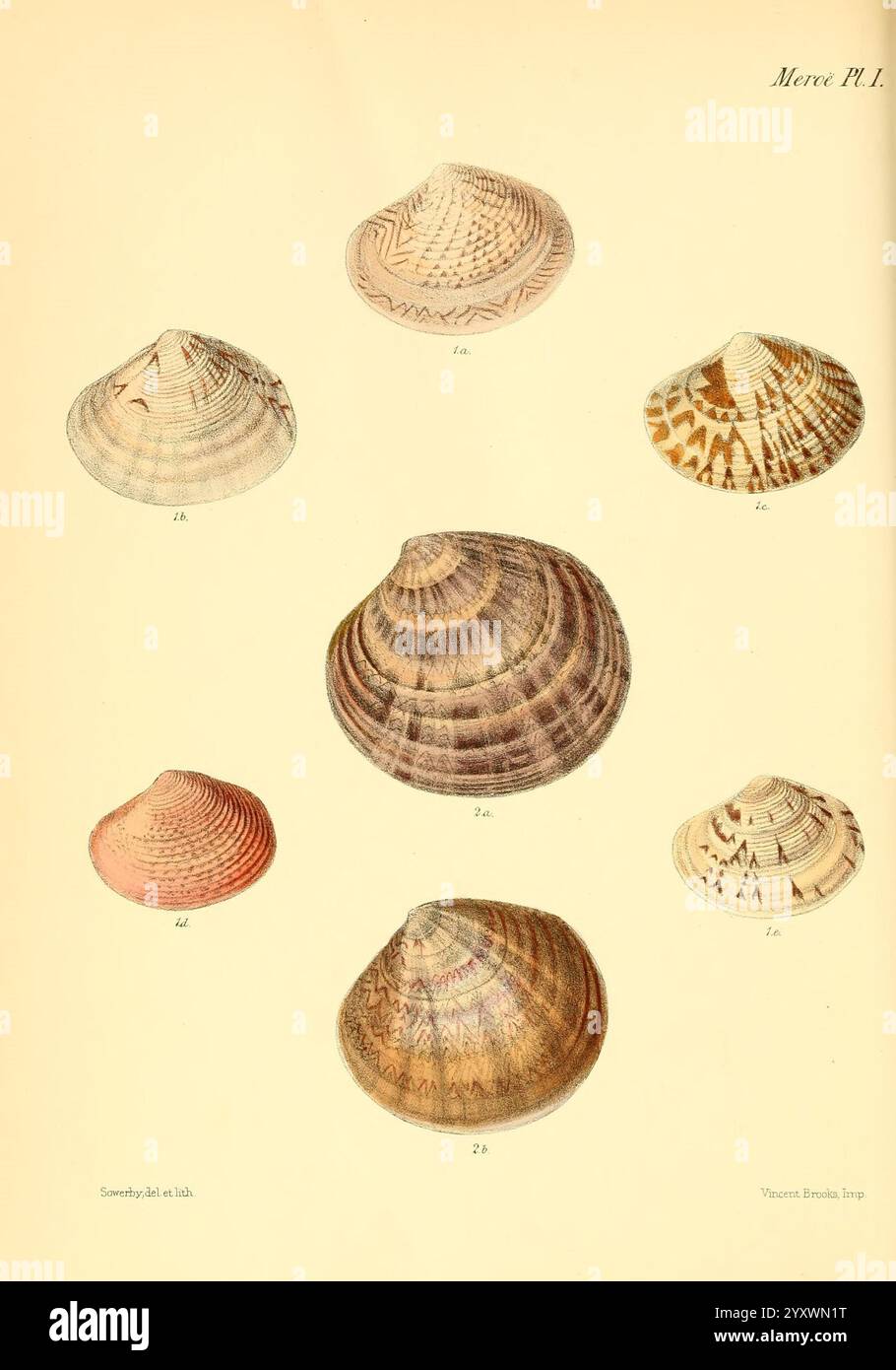 Artistic qualities present hi-res stock photography and images - Alamy