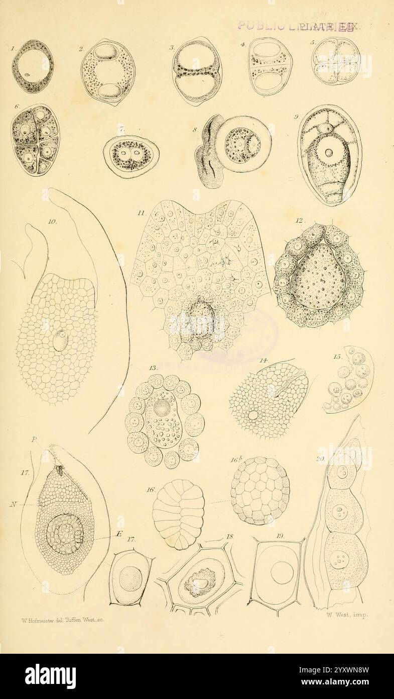 Arrangement displays multiple forms hi-res stock photography and images ...