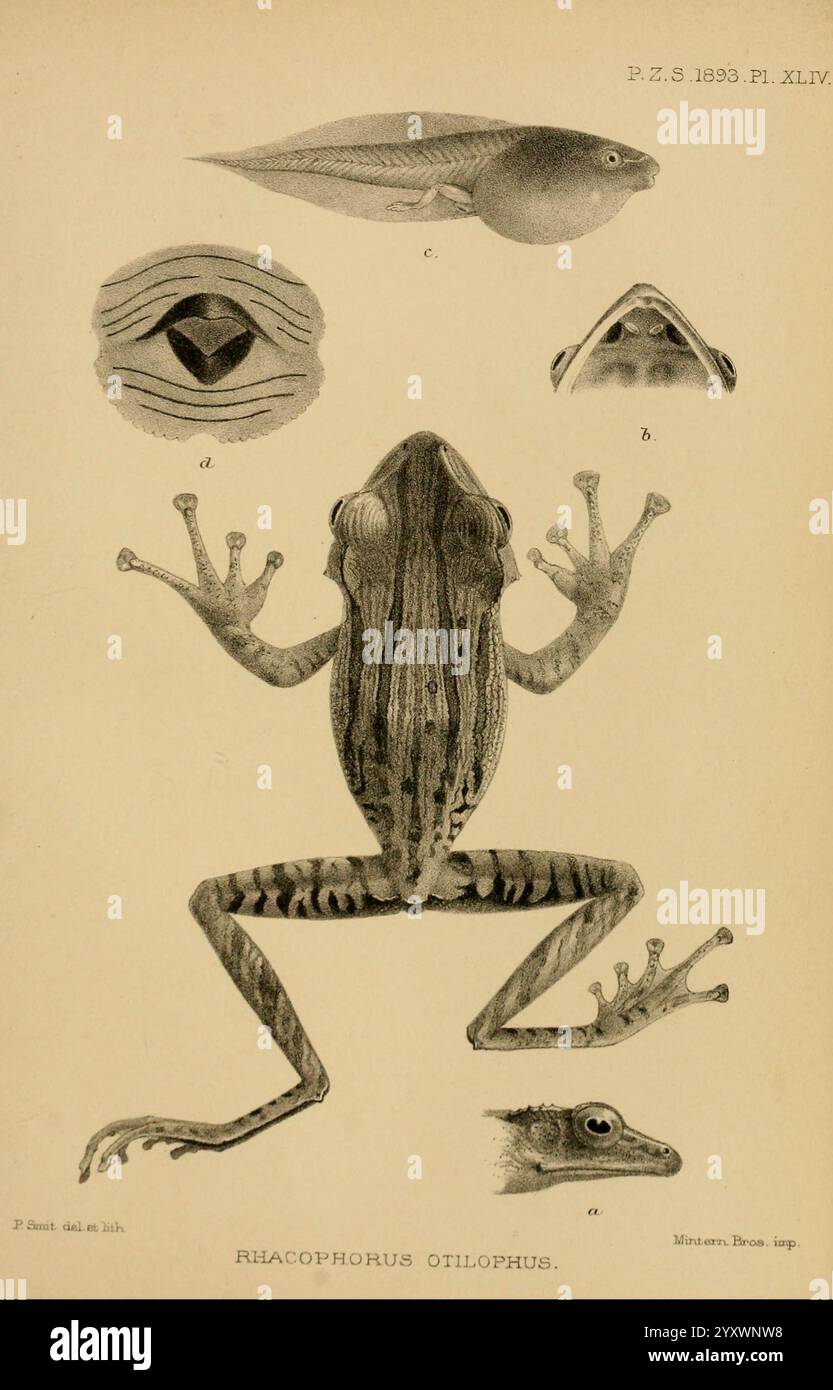 Proceedings of the Zoological Society of London, London, Academic Press ...