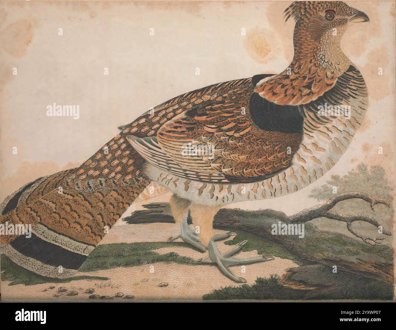 Showcasing dynamic patterns in shades of red hi-res stock photography ...