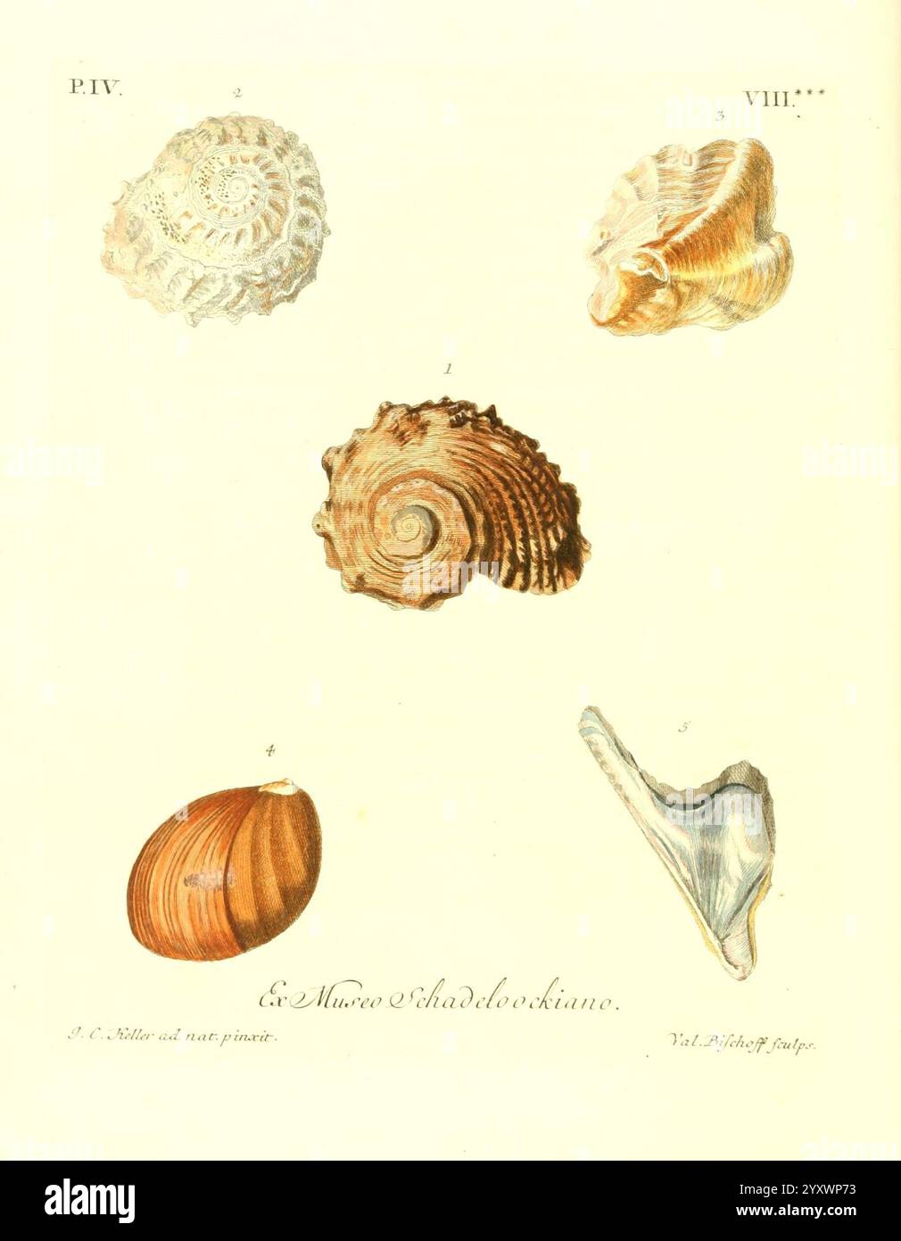 Les delices des yeux et de l'esprit, ou, Collection generale des ...