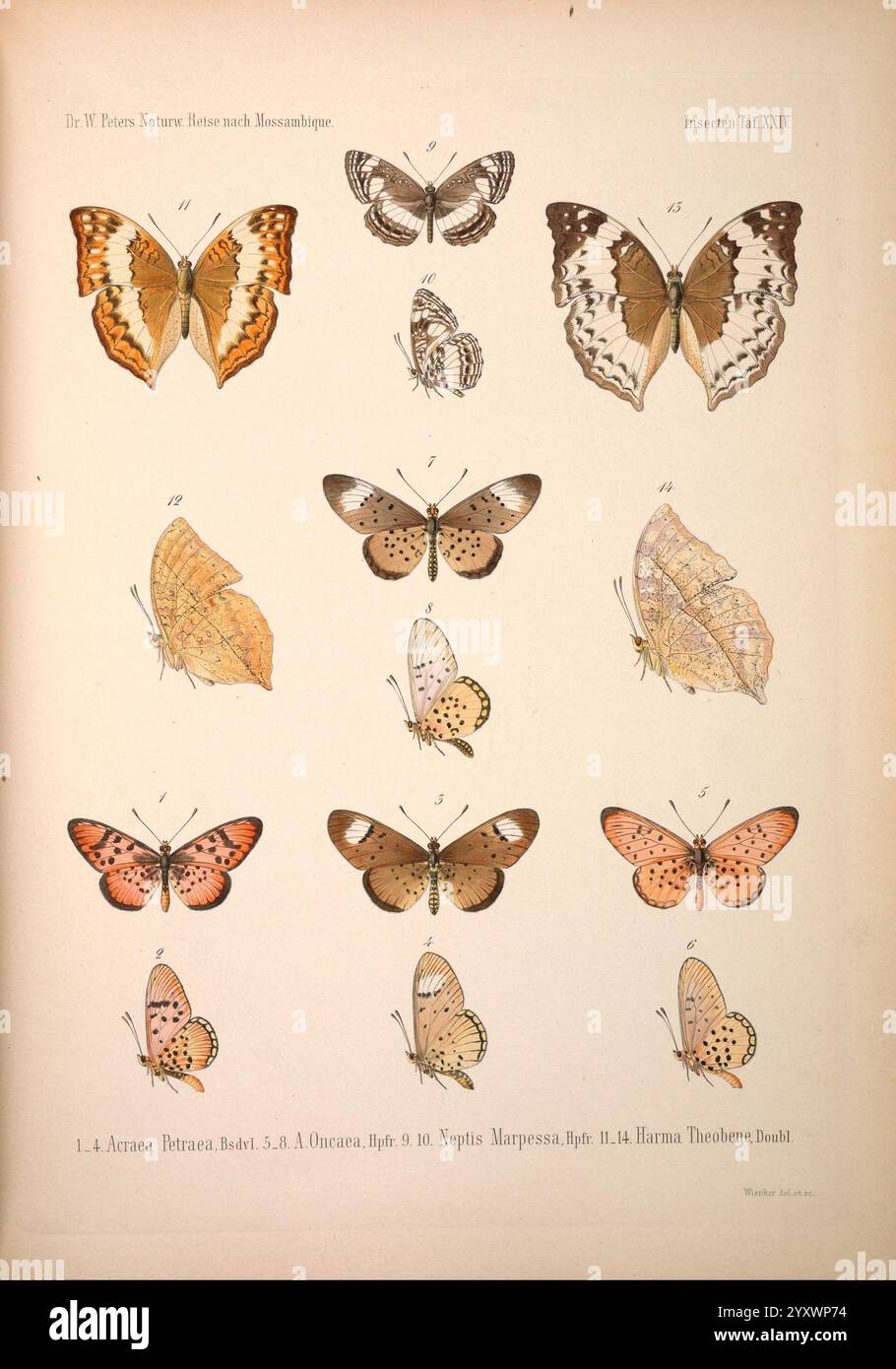 Second row displays hi-res stock photography and images - Alamy