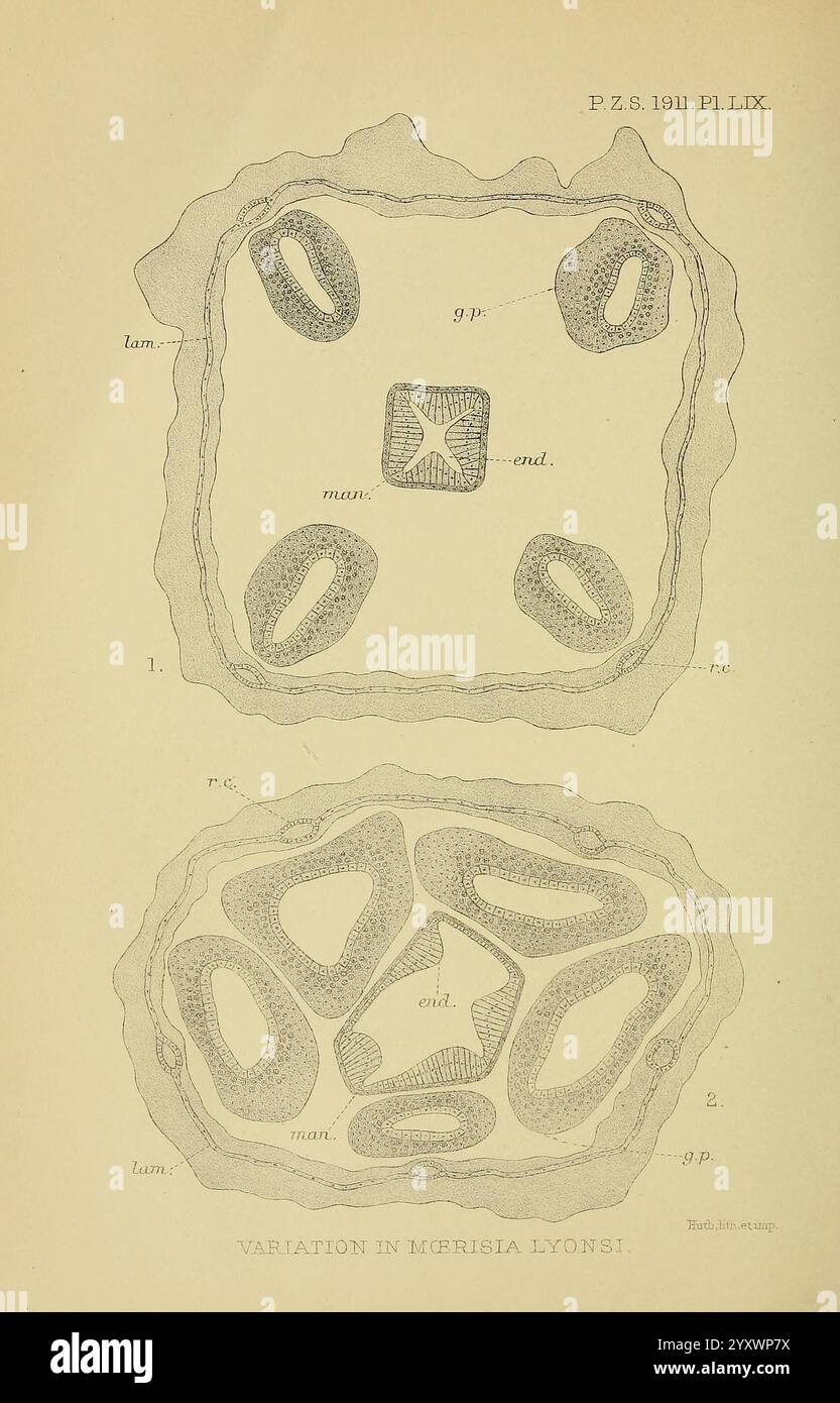 Top section features circular patterns labeled hi-res stock photography ...