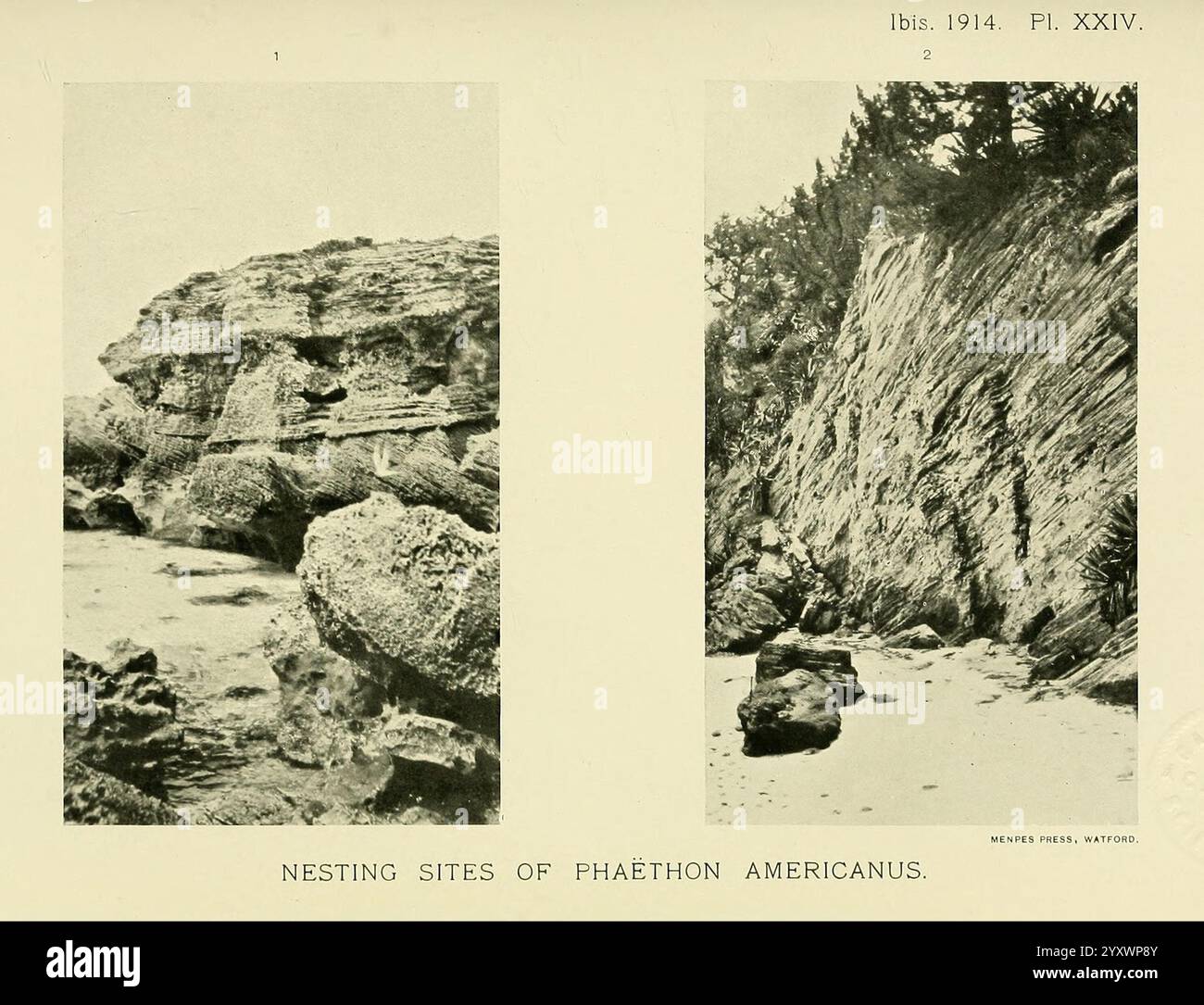 Rugged shoreline features steep cliffs hi-res stock photography and ...