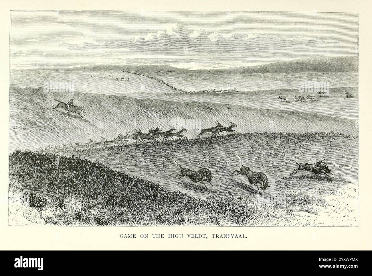 Lively scene unfolds featuring hi-res stock photography and images - Alamy