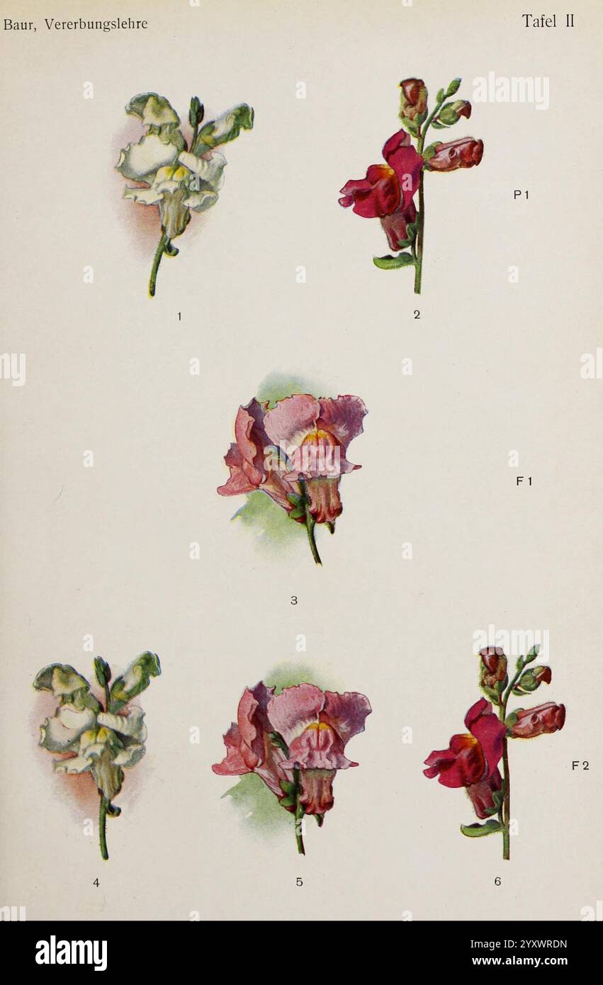 Fifth panels hi-res stock photography and images - Alamy