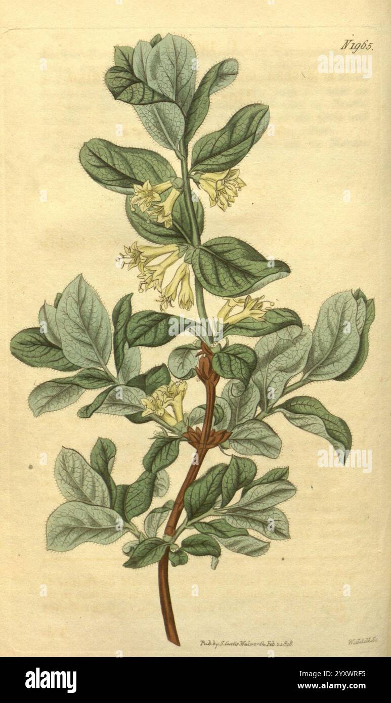 Tubular forms hints hi-res stock photography and images - Alamy