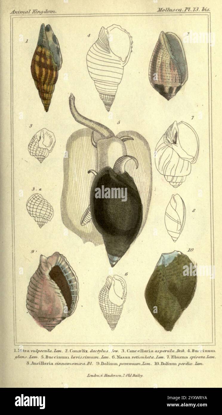 Ornate patterns reflects hi-res stock photography and images - Alamy