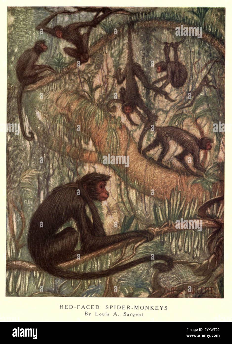 Hints of wildlife subtly hi-res stock photography and images - Alamy