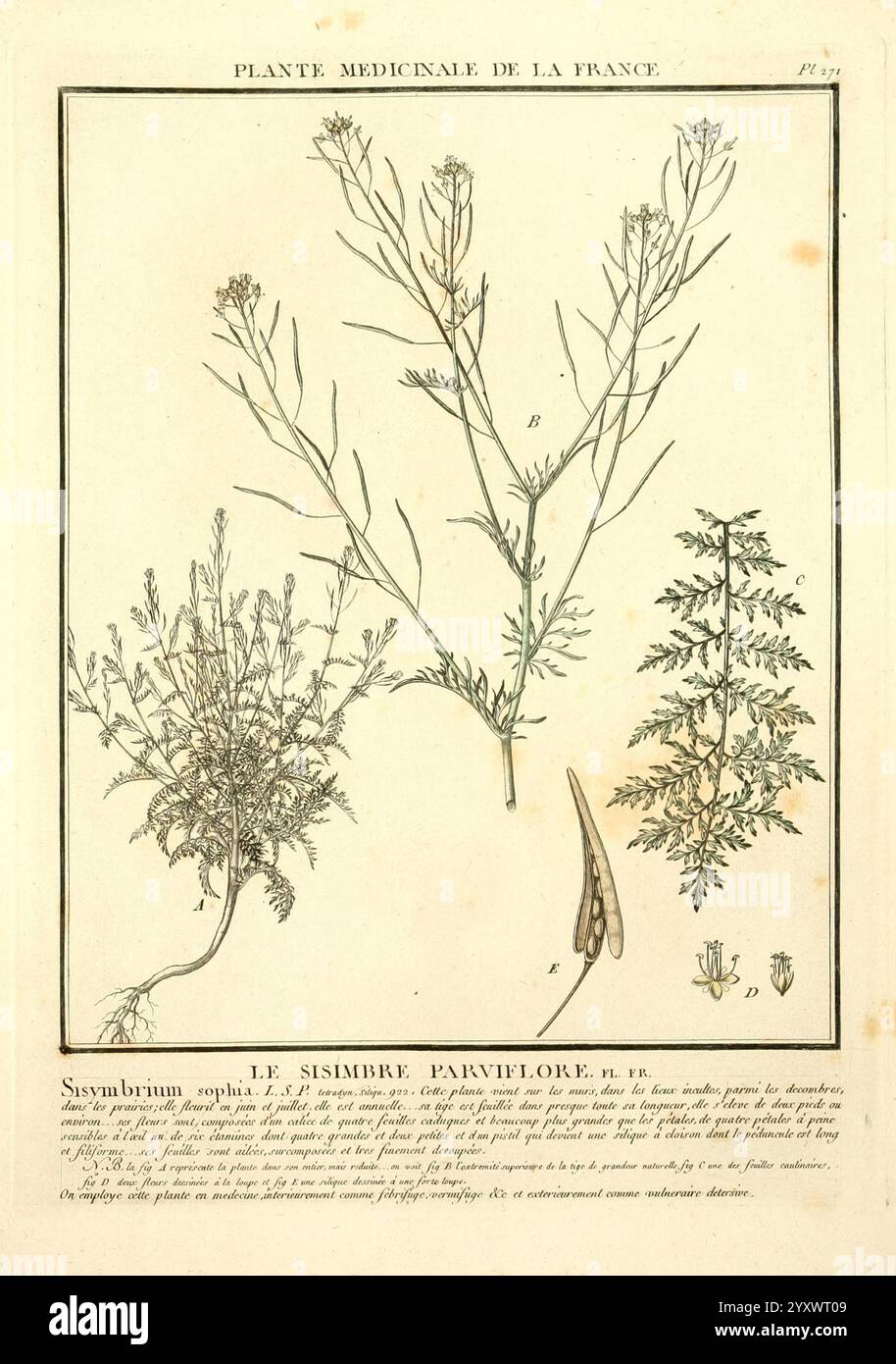 Descriptive text labels hi-res stock photography and images - Alamy