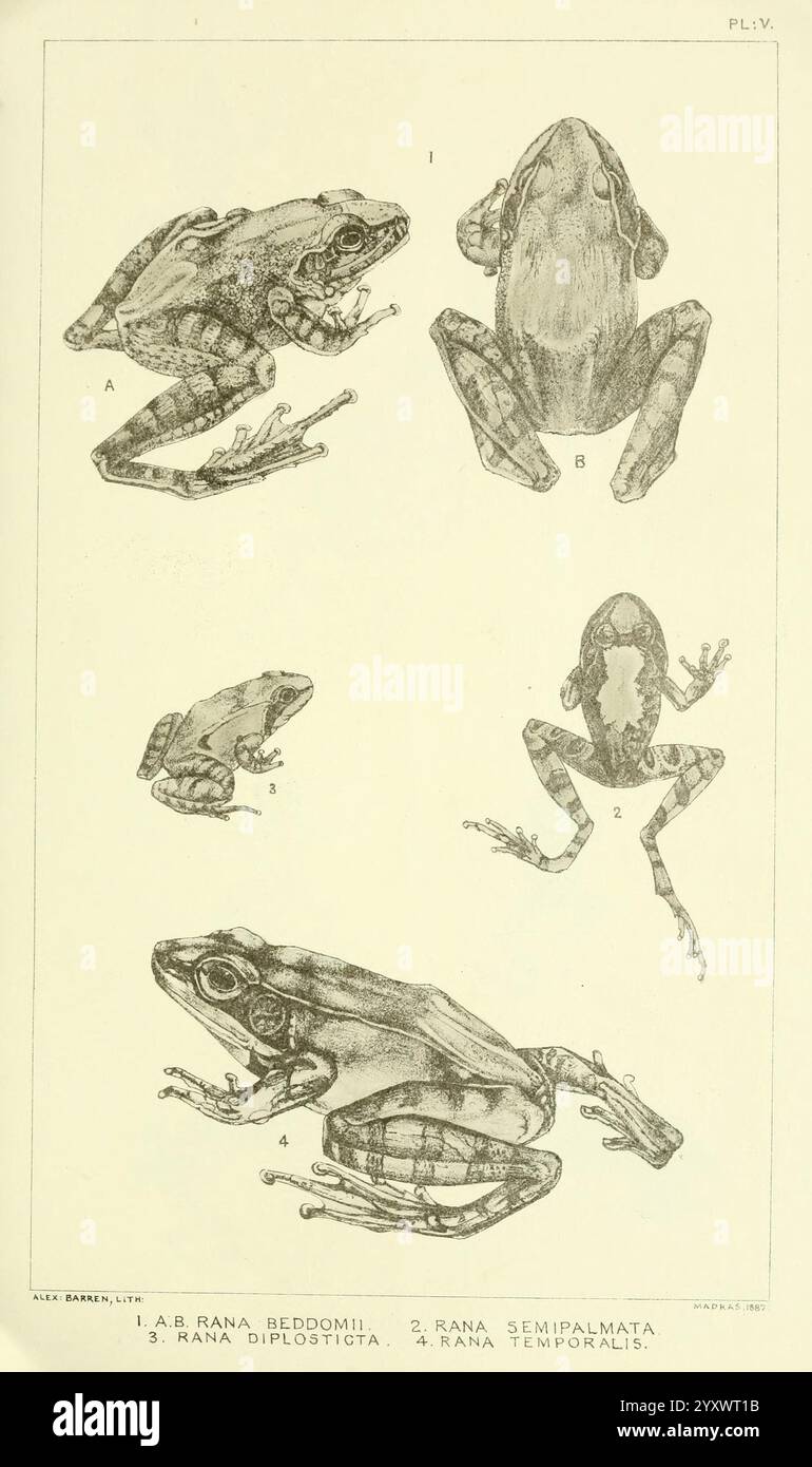 Indicating critical characteristics hi-res stock photography and images ...