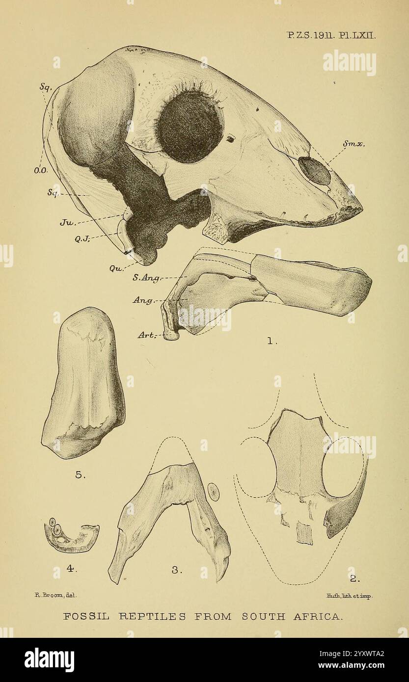 Illustration showcases different views hi-res stock photography and ...