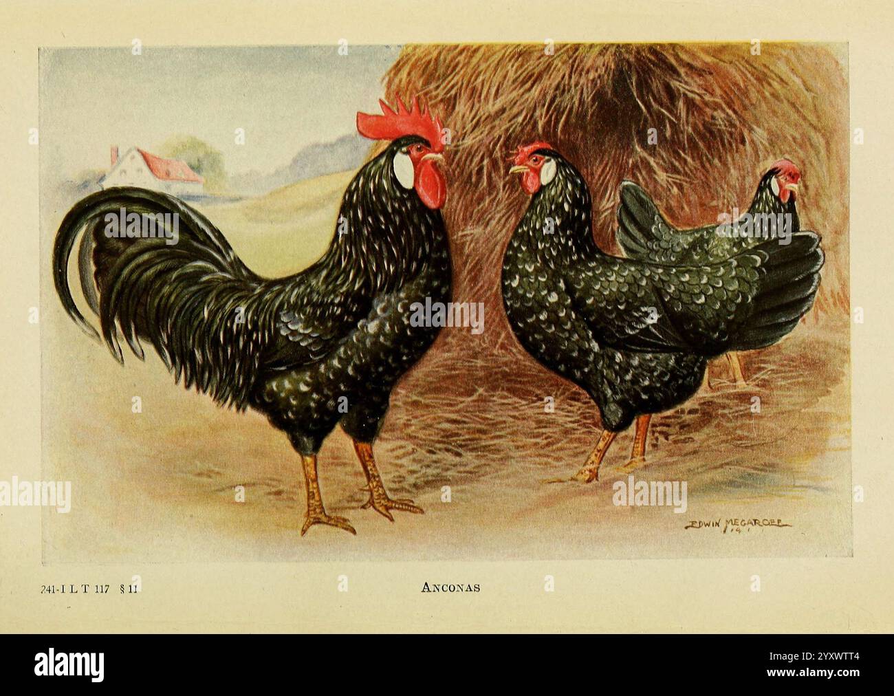 Vibrant metallic hints hi-res stock photography and images - Alamy