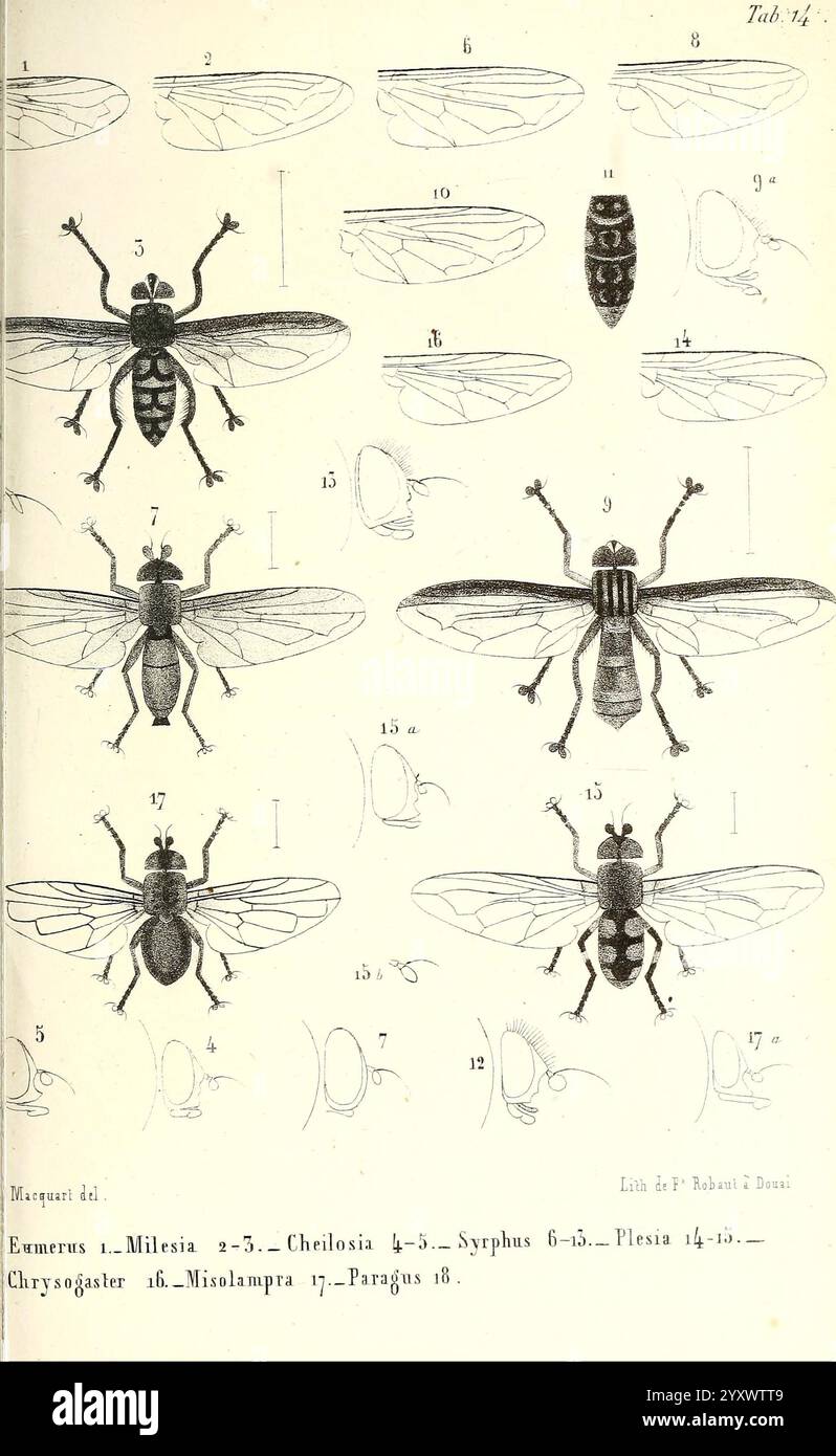 Visual comparison across hi-res stock photography and images - Alamy