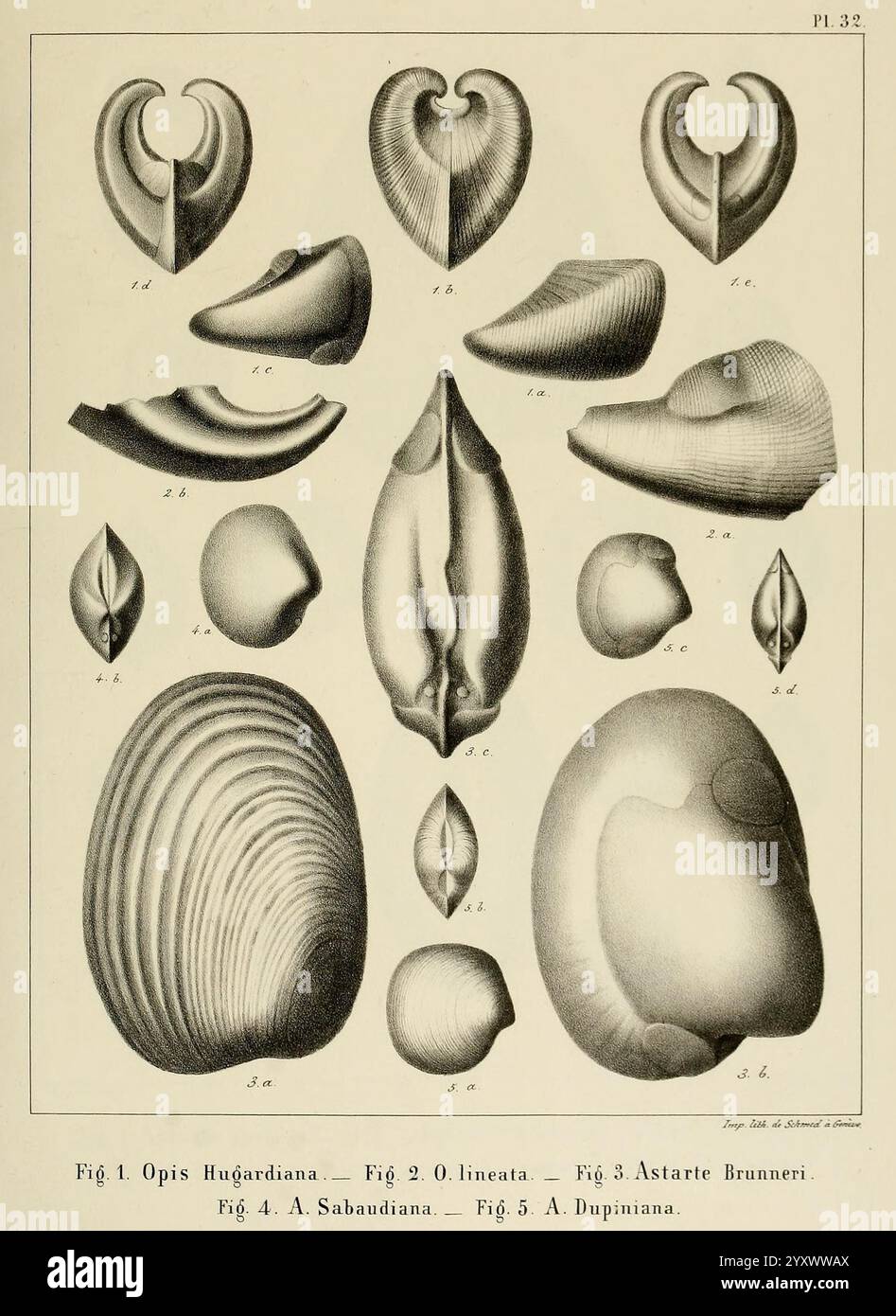 Featuring unique contours hi-res stock photography and images - Alamy