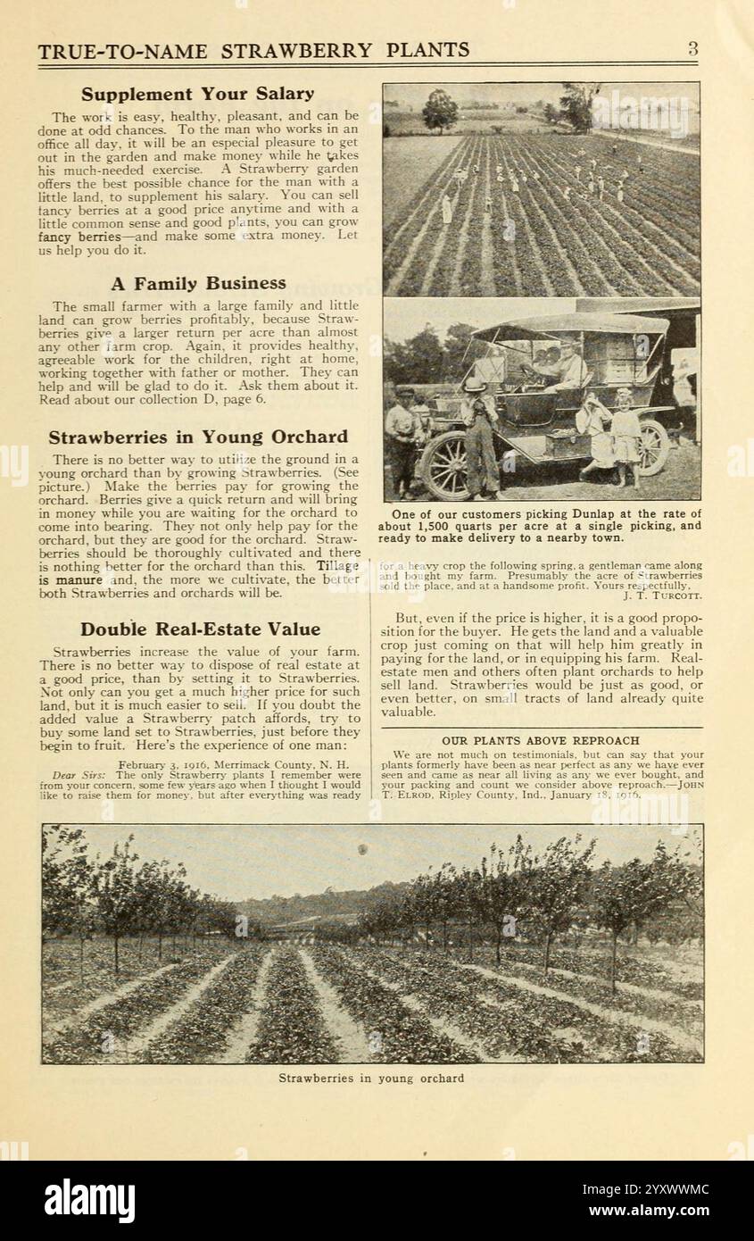 Vintage layout centered hi-res stock photography and images - Alamy