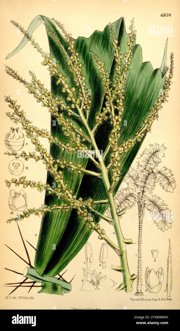 Comprehensive biological study hi-res stock photography and images - Alamy