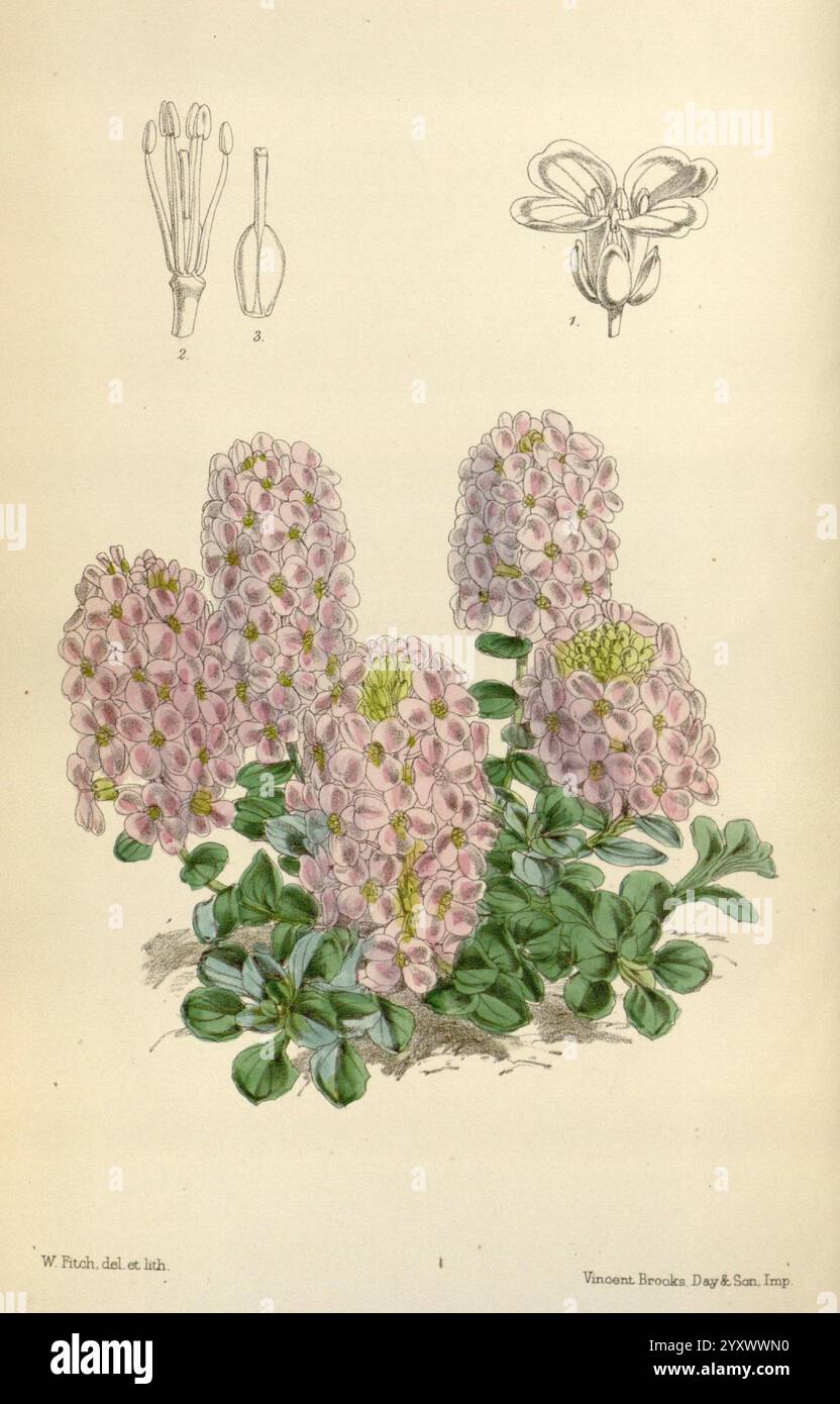 Prominent color gradient hi-res stock photography and images - Alamy