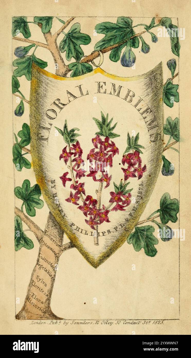 Floral emblems, London, Saunders and Otley, 1825, emblems, allegorical ...