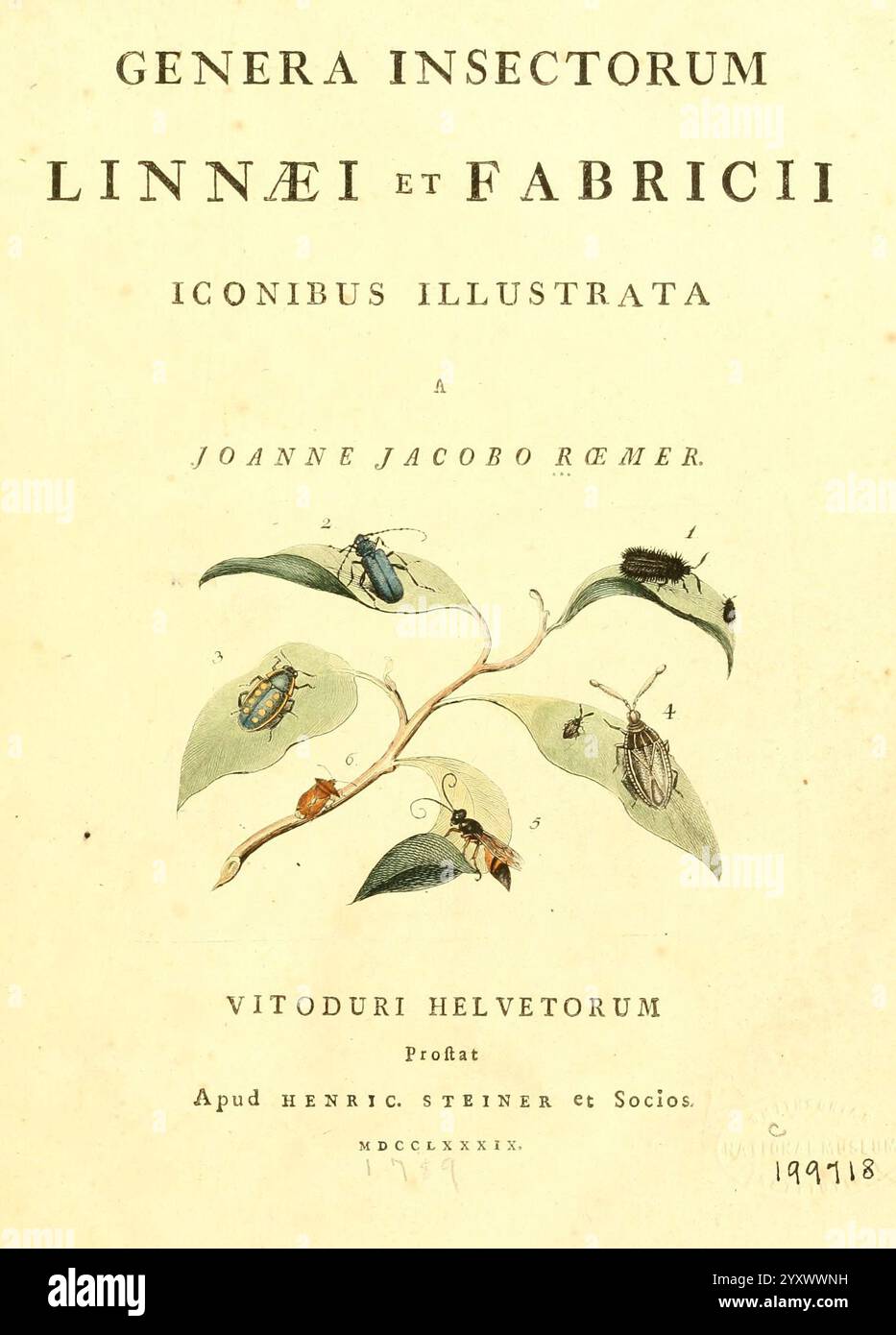 Johann jacob romer hi-res stock photography and images - Alamy