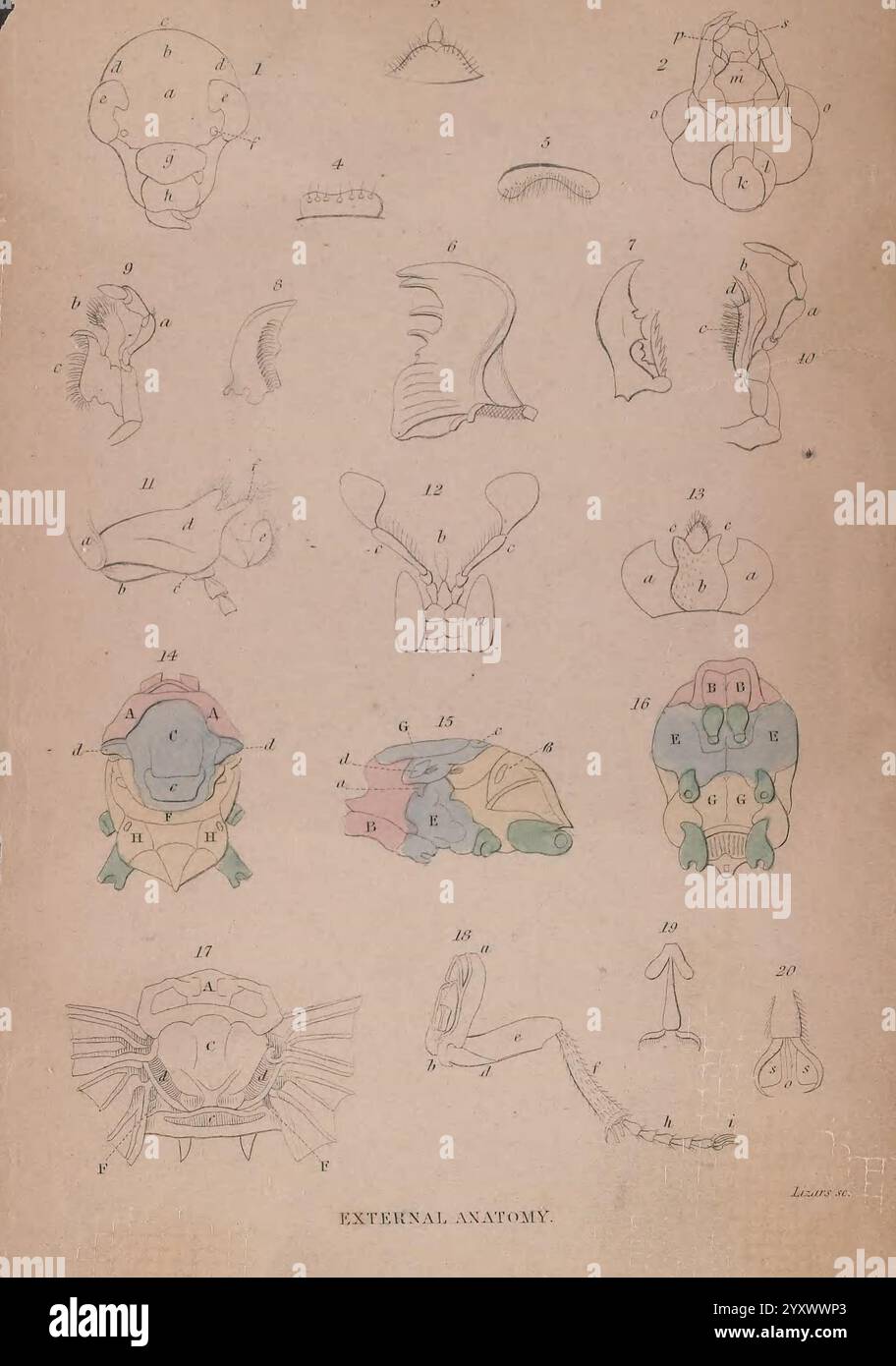 Multiple labeled drawings hi-res stock photography and images - Alamy